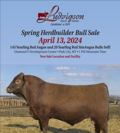 Superior Productions