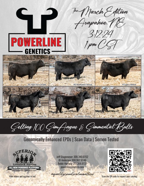 Superior Productions