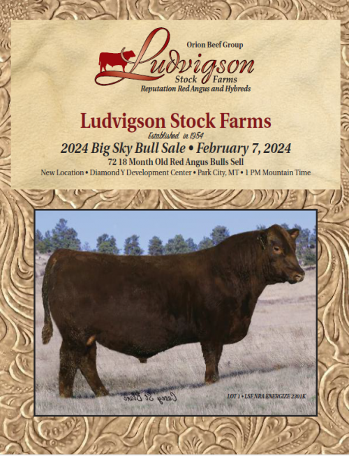 Superior Productions