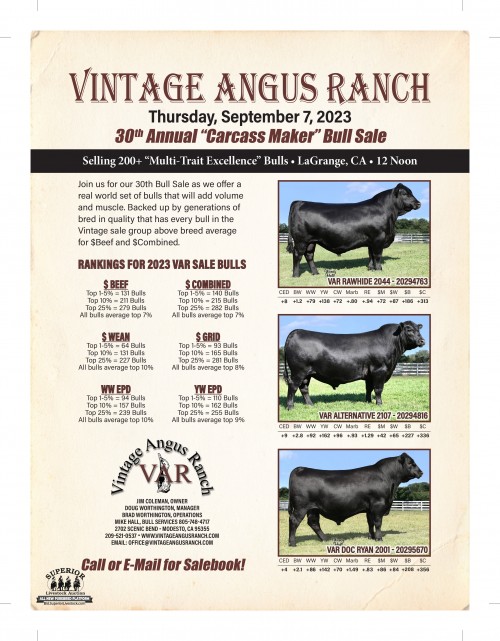 Superior Productions