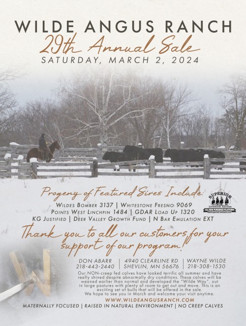 Superior Productions