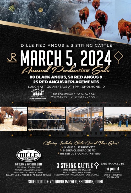 Superior Productions